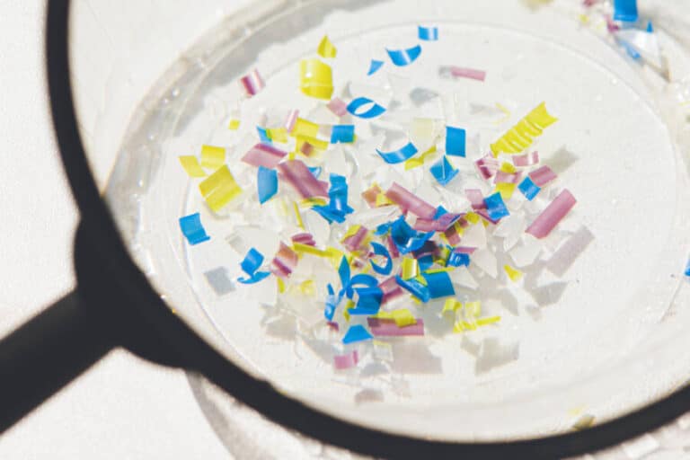 Your Brain Has High Levels of Microplastics… and It’s Getting WORSE ...